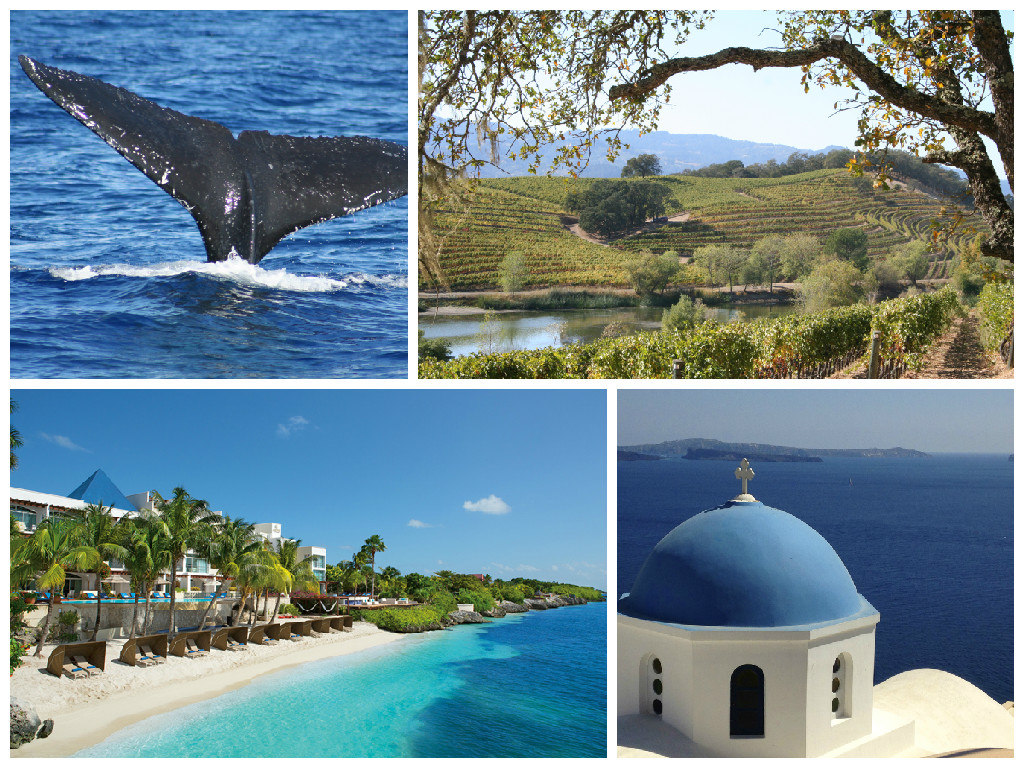 Travel Experiences | Travel Sweet Travel